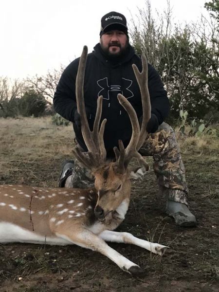 Lodging Trail Camera Events Video Gallery